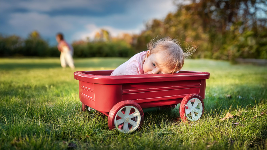 Weird but effective ways to get back on the wagon - My Zero Carb Life, Inc.